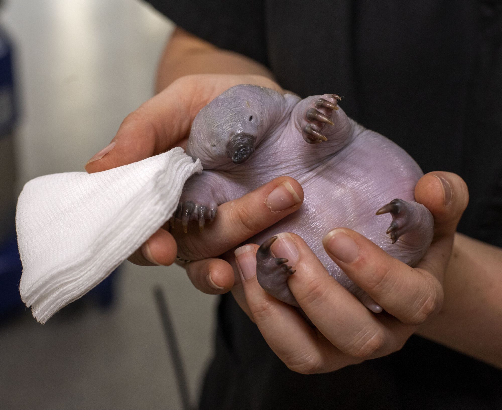 Daily Bible Study #54 – Heather Congrove