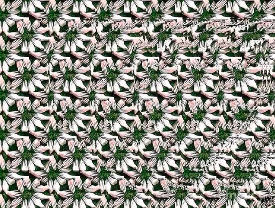 Stereogram – Heather Congrove