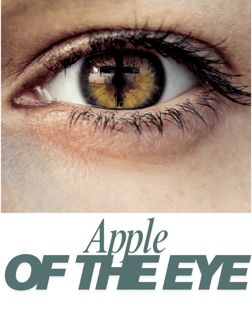 Apple Of The Eye: Daily Bible Study #194 – Heather Congrove